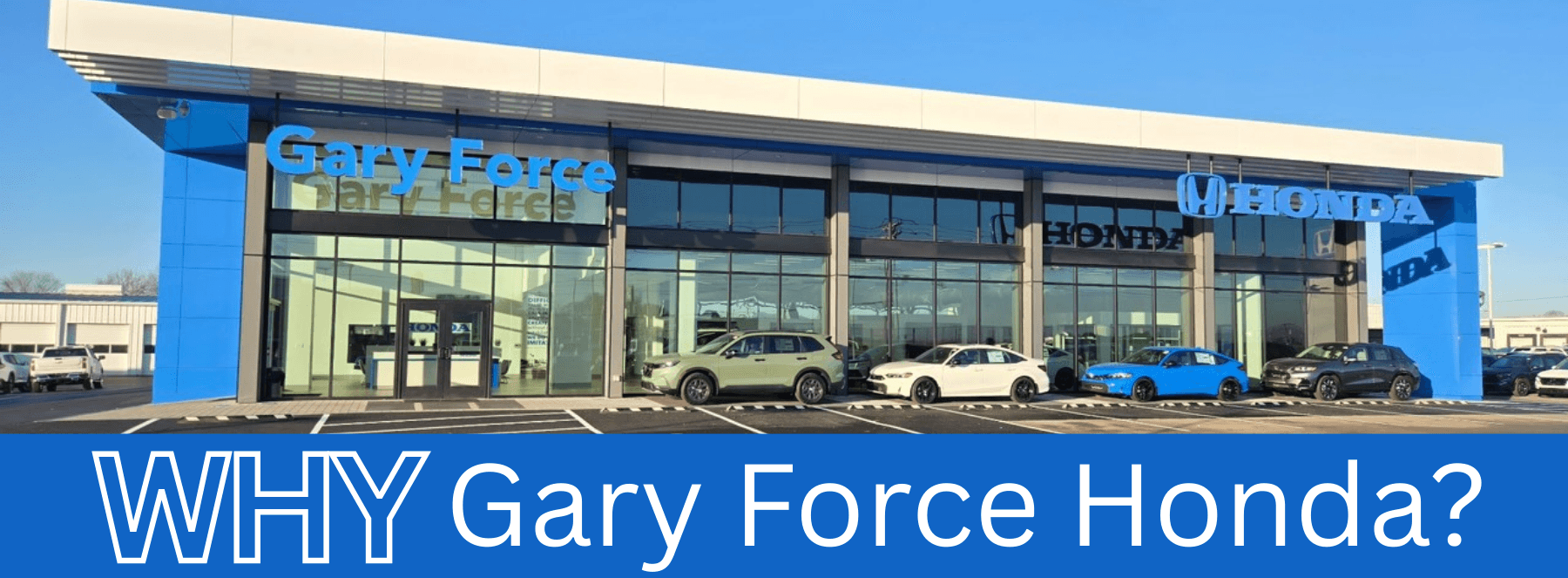 Gary Force Honda Cars